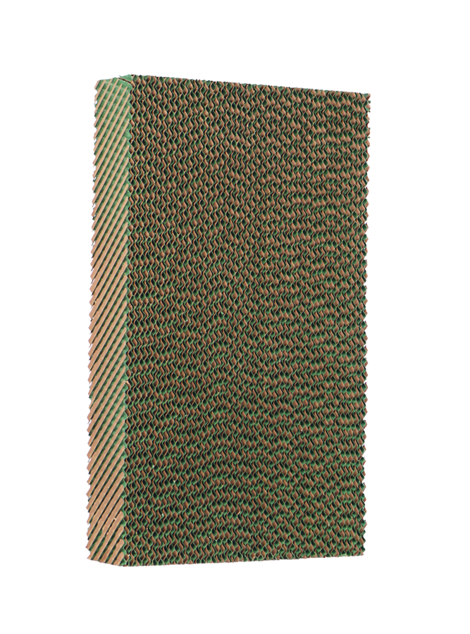 havacellulose – The best manufacturer of cellulose pads