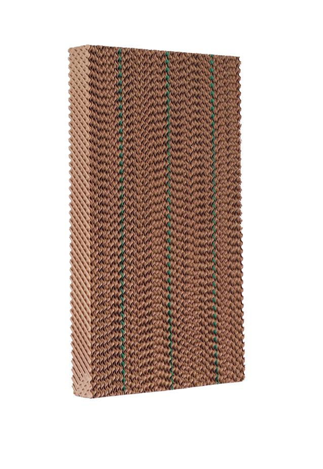 havacellulose – The best manufacturer of cellulose pads